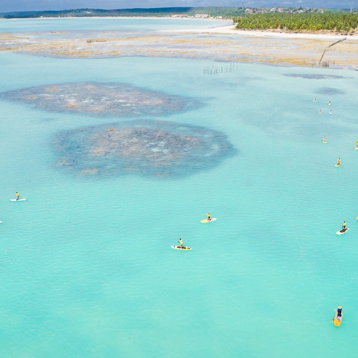 As 5 praias mais lindas de Maceió para conhecer nas férias | MME