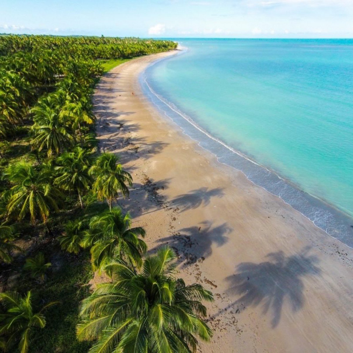 Ipioca: um paraíso no norte de Maceió | MME